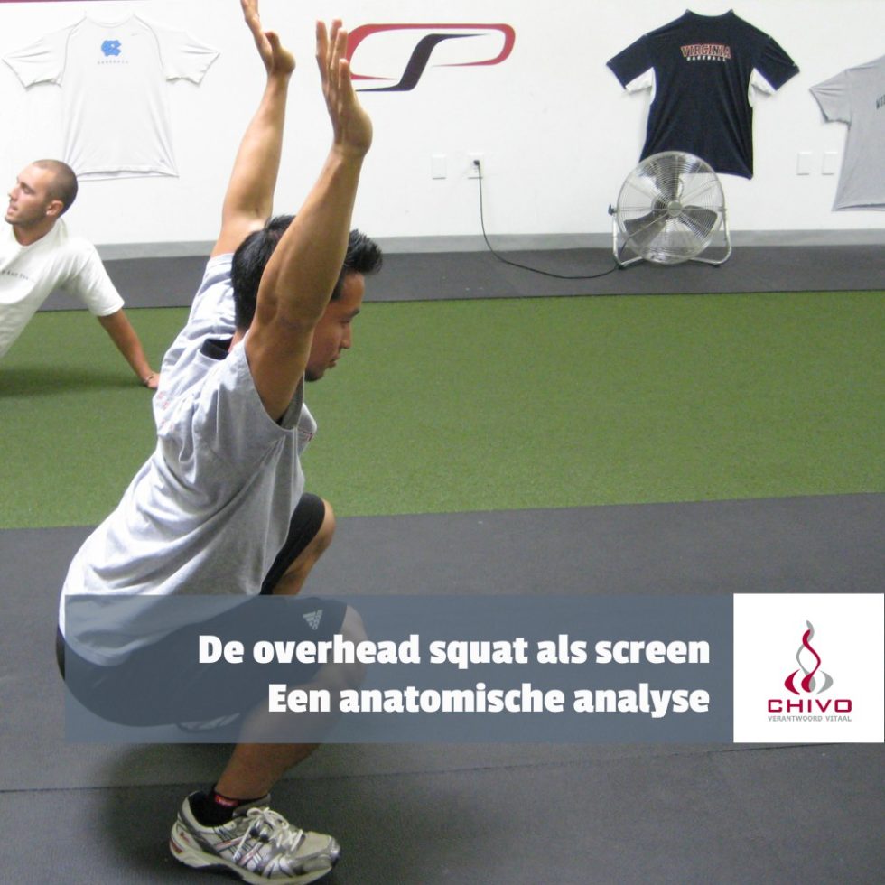 De overhead squat als screen, een anatomische analyse - Chivo ...